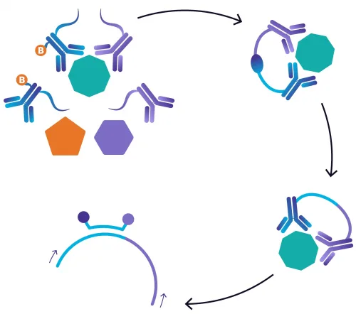 Blood Biomarker Platform for Neurodegenerative Diseases.